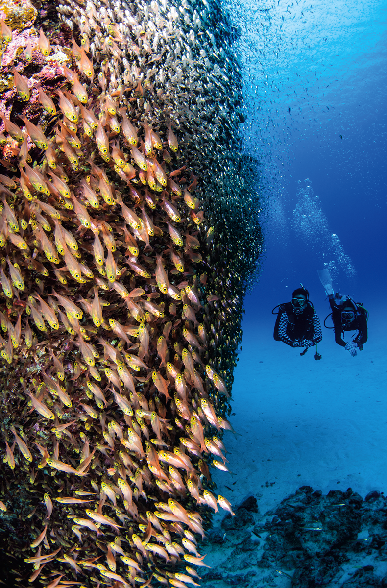 Products | GULL Scuba Diving